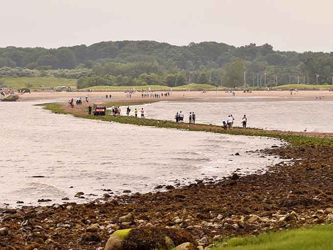 Low tide reveals nature's own drawbridge, inviting adventurers to walk where water usually flows freely.