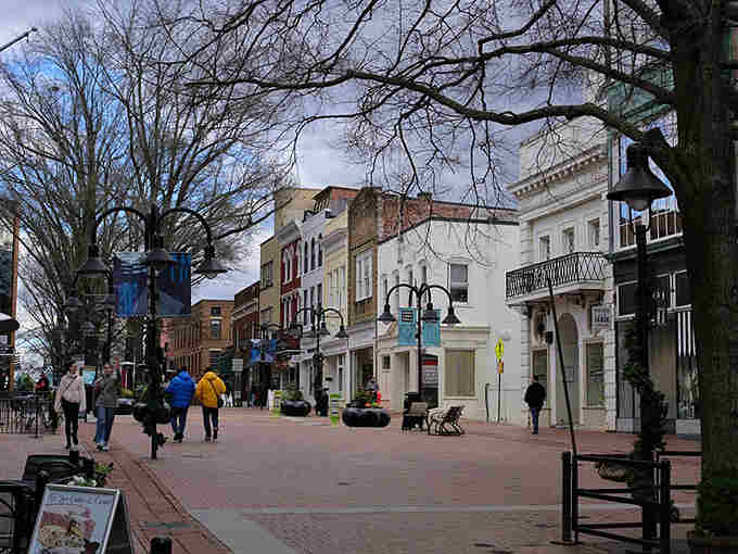 Winter branches create natural lace above this pedestrian mall where locals stroll like they've got all day.