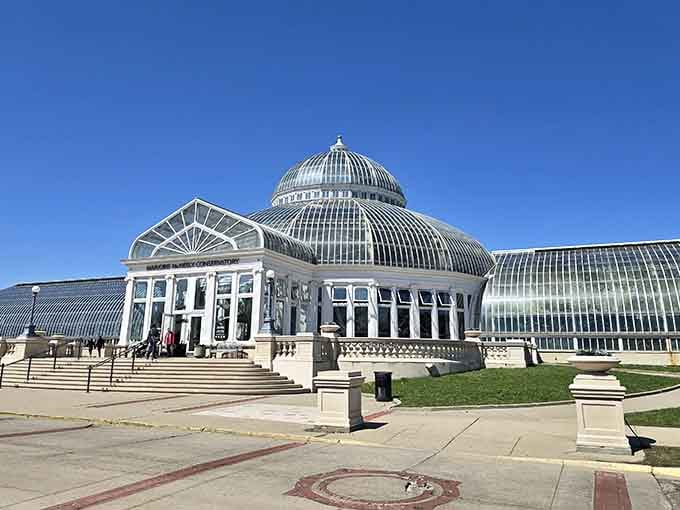 The gleaming glass dome rises like a Victorian dream where tropical warmth defies every Minnesota winter stereotype.