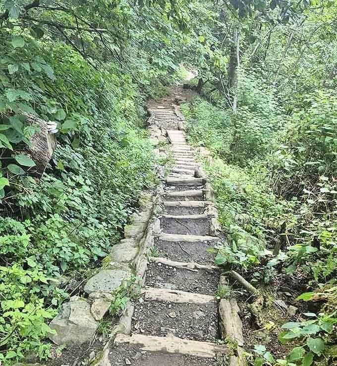Wooden steps descend through emerald greenery, each plank a promise that the waterfall ahead is absolutely worth the climb back.