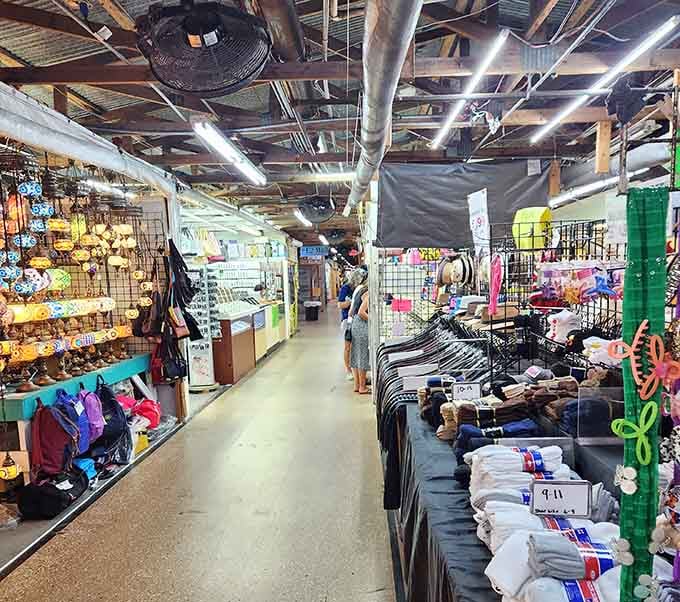 Clean, organized aisles make browsing feel less like hunting and more like discovering exactly what you didn't know you needed.