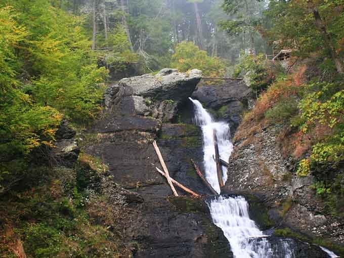 Water cascading over dark rocks through autumn forest creates nature's own symphony of sight and sound.