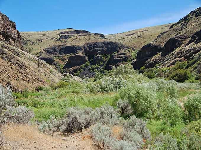 Where desert meets oasis, Douglas Creek's green corridor winds through towering canyon walls painted in earth-tone stripes.