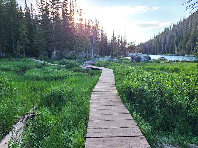A wooden boardwalk stretches across the meadow at sunrise, leading through wildflowers toward distant alpine peaks beyond.