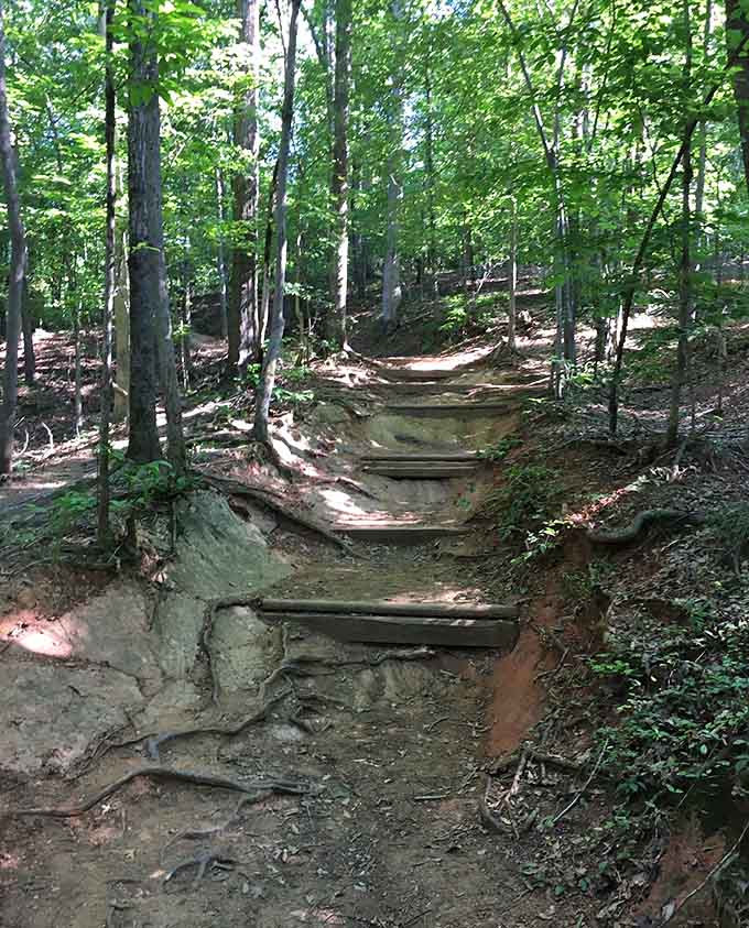 Stone steps carved into the hillside lead adventurers upward through a forest that whispers secrets with every breeze.
