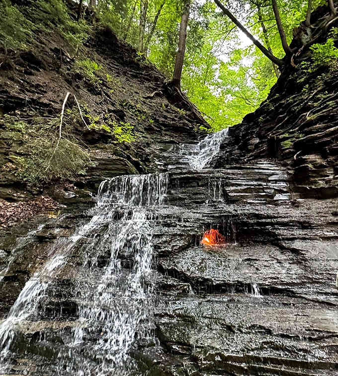A tiny flame flickers behind falling water, defying logic and making you question everything you learned in science class.