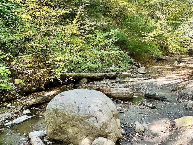 Nature's eternal pilot light flickers behind the waterfall, defying logic like a magic trick that never gets old.