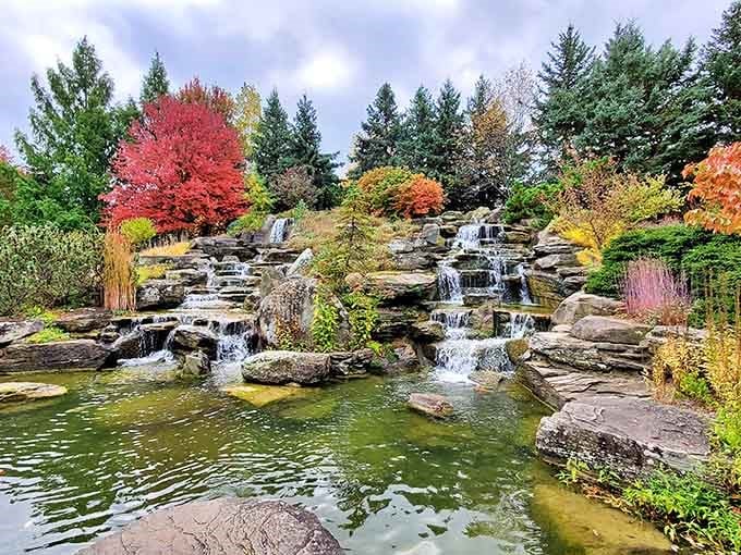 Cascading waterfalls tumble over autumn-kissed rocks while fiery maples frame this serene water garden masterpiece beautifully.