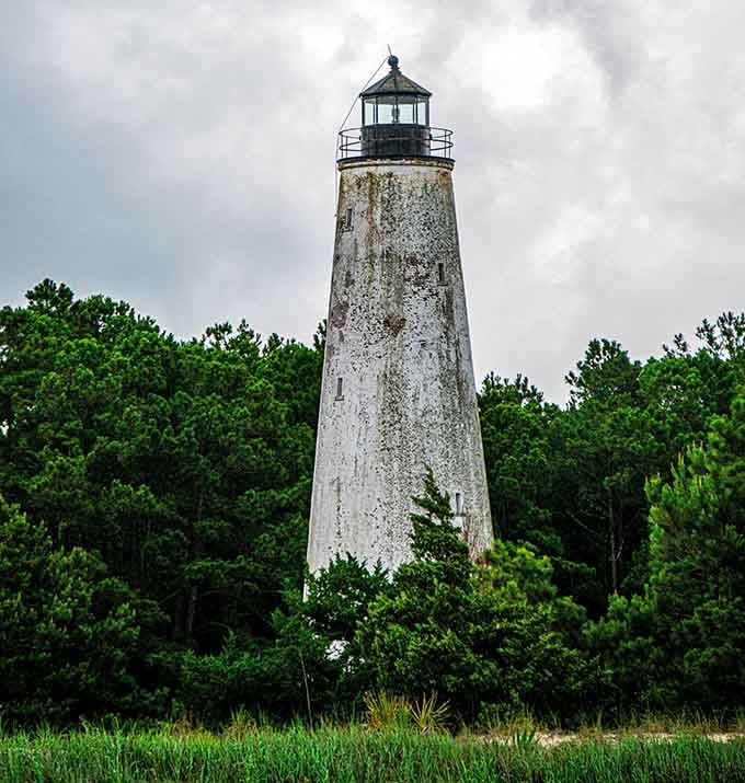 Time has painted this weathered tower with nature's own patina, creating character that no artist could replicate.