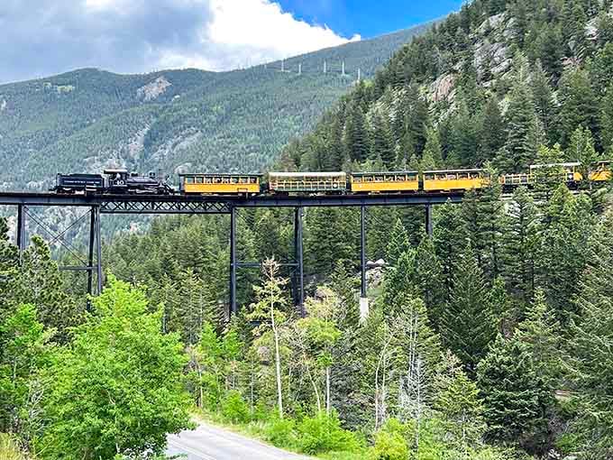 Perched on that high trestle like a tightrope walker with an engineering degree, this train's got nerves of steel&mdash;literally.