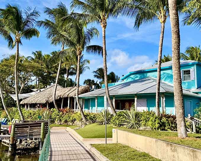 Those swaying palms and turquoise building colors transport you straight to a Caribbean daydream without leaving the mainland.