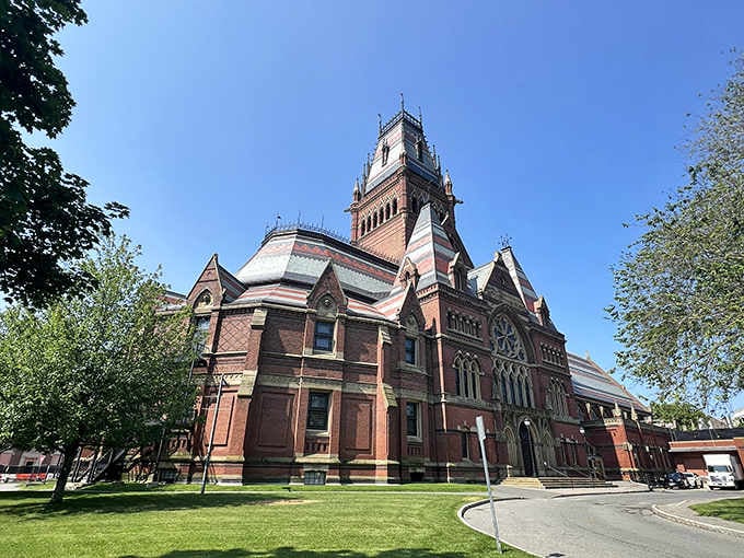 Victorian Gothic architecture never looked so magnificent, with that ornate tower rising above manicured lawns like a castle from a storybook.