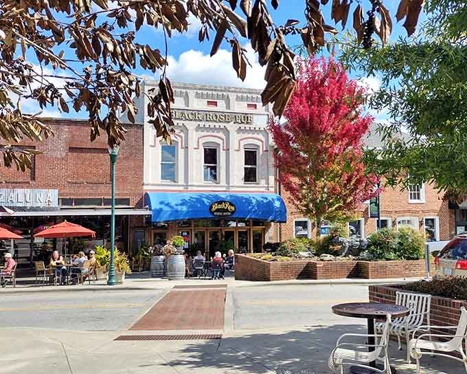 That pink tree bursts with color against historic storefronts, proving nature knows how to accessorize downtown perfectly.