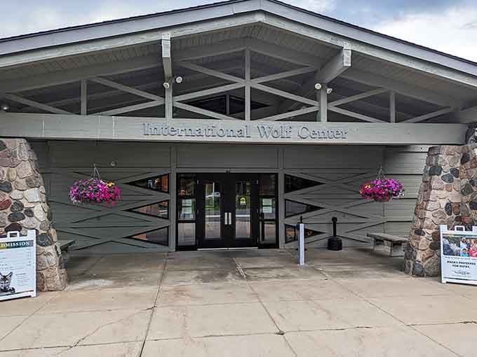 Stone pillars and rustic charm frame the entrance where wolves await, blending wilderness education with architectural warmth.