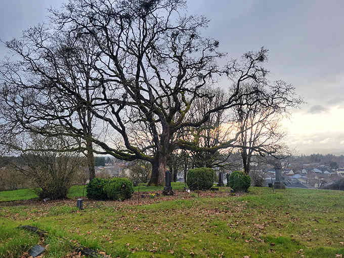 Ancient oak trees stretch their gnarled branches over weathered headstones, creating a hauntingly peaceful scene that spans generations of Oregon pioneers.