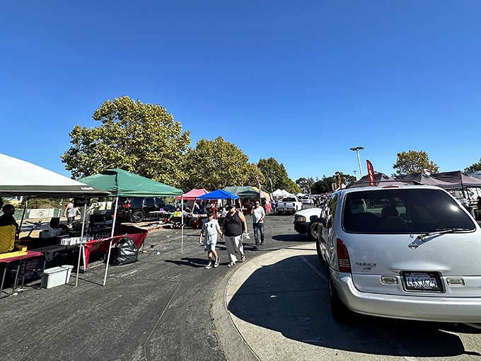 Tree-lined pathways and colorful canopies make this market feel like a neighborhood block party with better shopping.