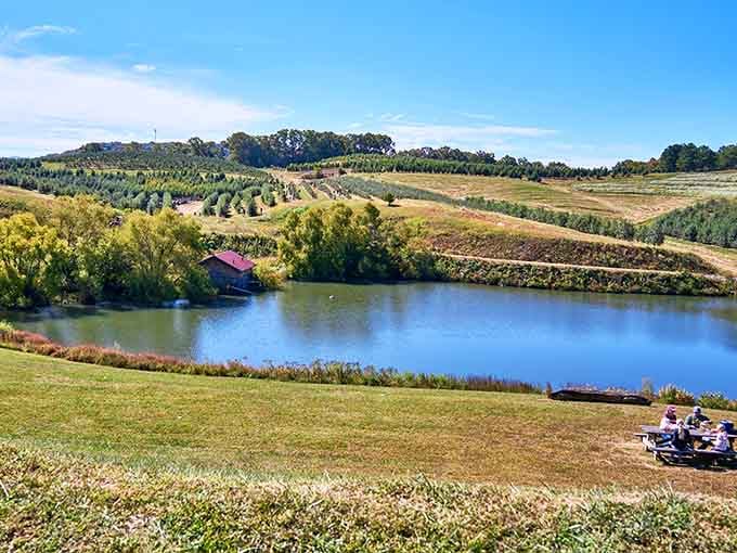 Rolling hills, still water, and endless rows of green &ndash; this view beats any postcard rack.