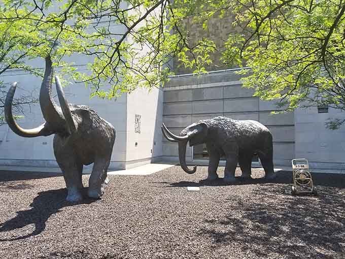 These prehistoric mastodon sculptures cast impressive shadows, reminding us that Indiana once hosted much larger residents than today.