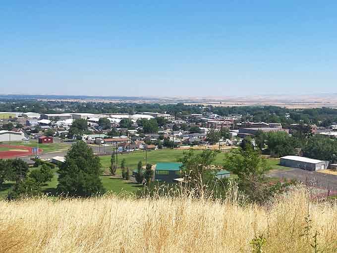 Golden hillsides stretch beyond town like nature's own retirement plan, offering endless views at zero monthly cost.