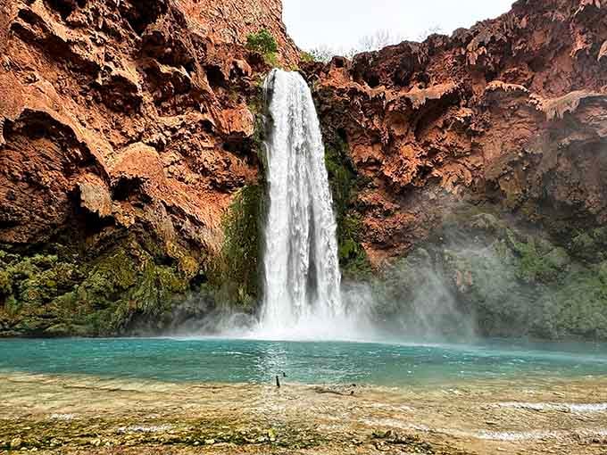 That turquoise pool looks impossibly tropical, yet here it is, tucked between red canyon walls in the desert.