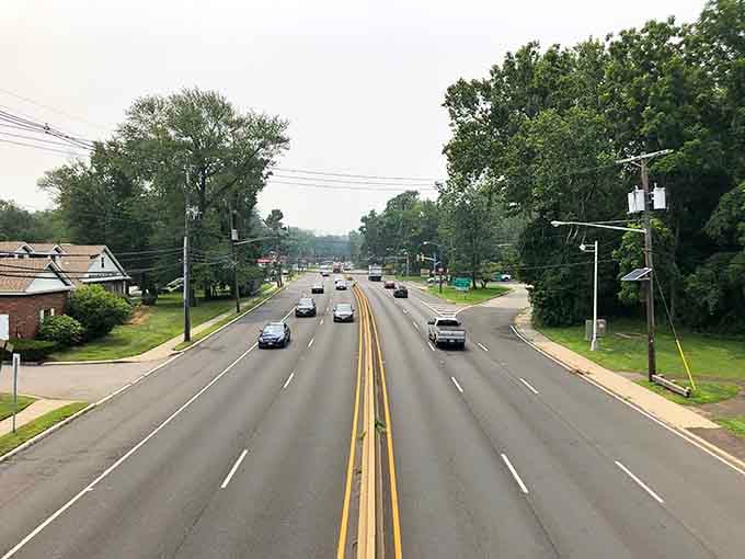 Spacious streets wind through green corridors where the sound of birdsong drowns out any hint of urban chaos.