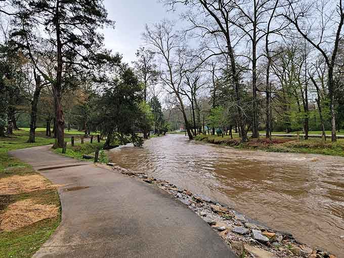 Tree-lined paths and gentle streams make this park feel like a peaceful escape from the everyday hustle.