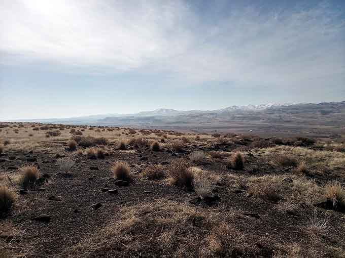 This high desert landscape looks like Mars decided to vacation in Oregon and forgot to leave.