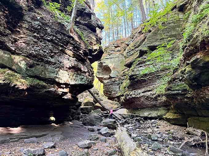 Standing between these towering sandstone walls feels like discovering a secret passage in an adventure novel.