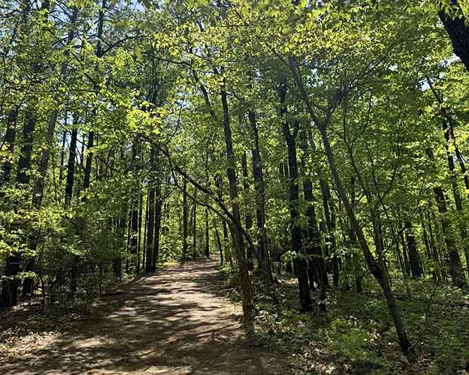 Wooden staircases descend toward rushing water below, where spring's fresh energy brings the landscape to brilliant life.