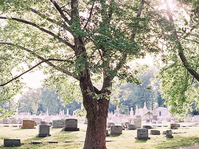 Morning mist weaves between headstones and ancient trees, creating an atmosphere Hitchcock himself would have envied for his films.