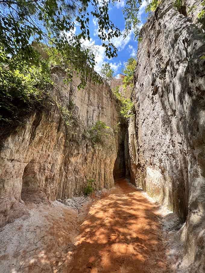 Walking between these towering canyon walls feels like stepping onto another planet that's somehow still in Georgia.