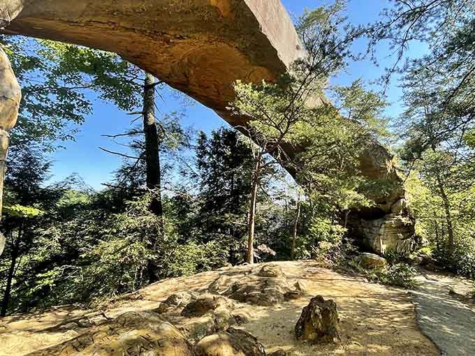 A massive stone arch frames the forest like nature's own picture window, defying gravity with casual elegance.