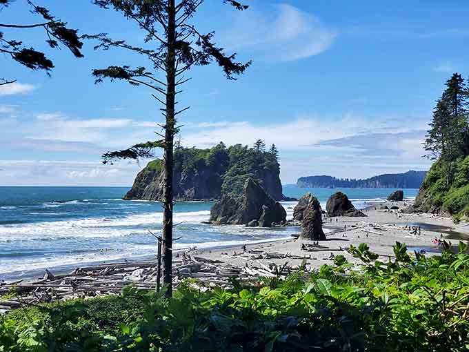 Ancient sea stacks rise from the surf like sentinels guarding secrets of the deep Pacific waters.