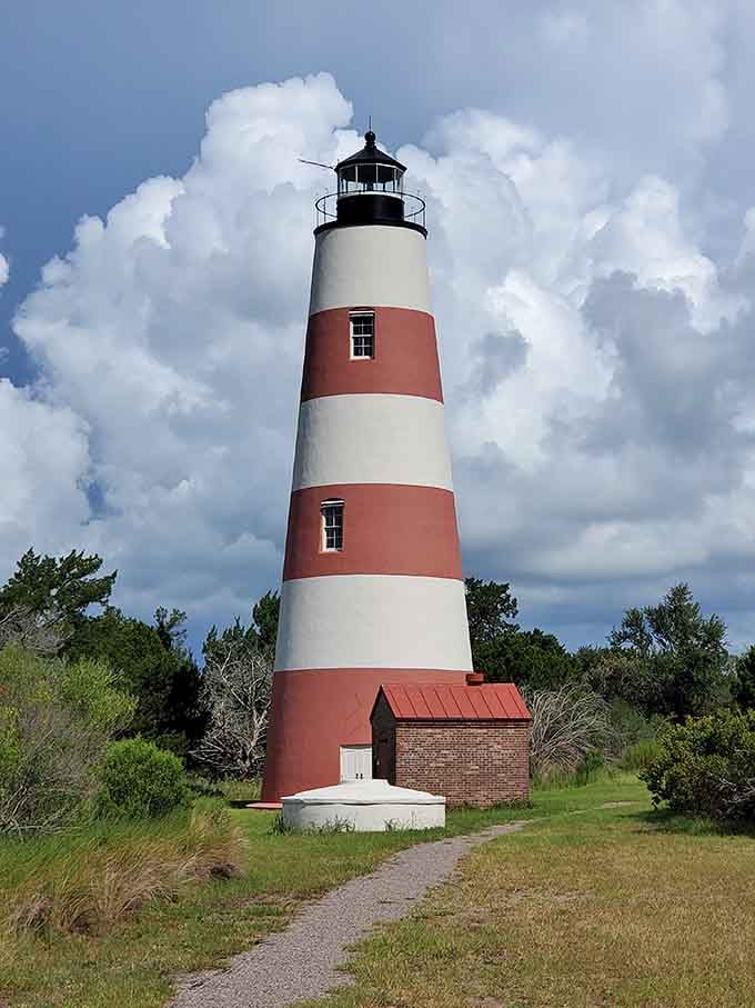 Bold stripes wrap around this beauty like a peppermint stick designed by someone with impeccable taste and steady hands.