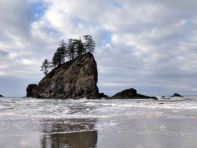 That lone sea stack stands sentinel like a lighthouse without the light, crowned with trees defying ocean winds.