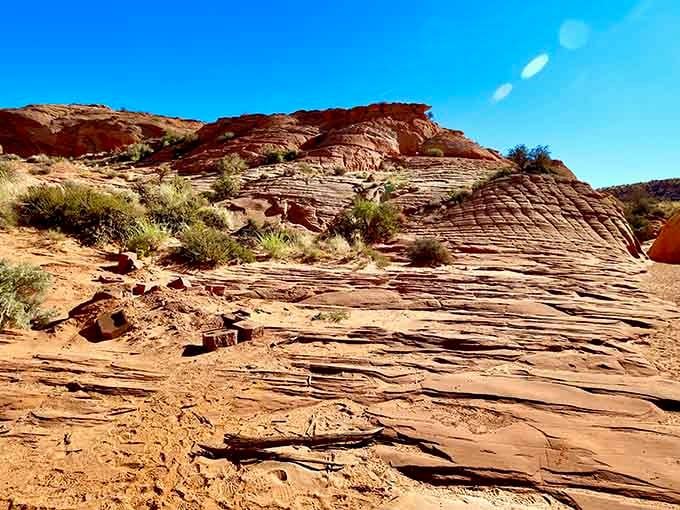 Smooth sandstone walls curve and flow like frozen waves, polished by centuries of flash floods into natural sculptures.