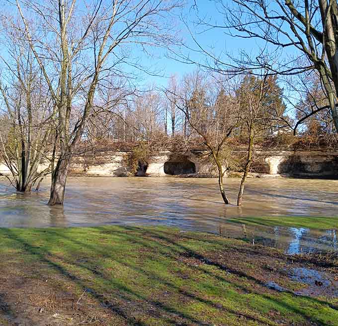 When the Mississinewa rises, these ancient limestone pillars stand like patient sentinels watching over the swirling waters below.