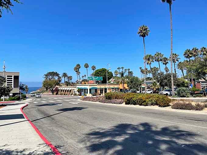 Palm trees sway above coastal streets where the ocean breeze carries the scent of salt and community.
