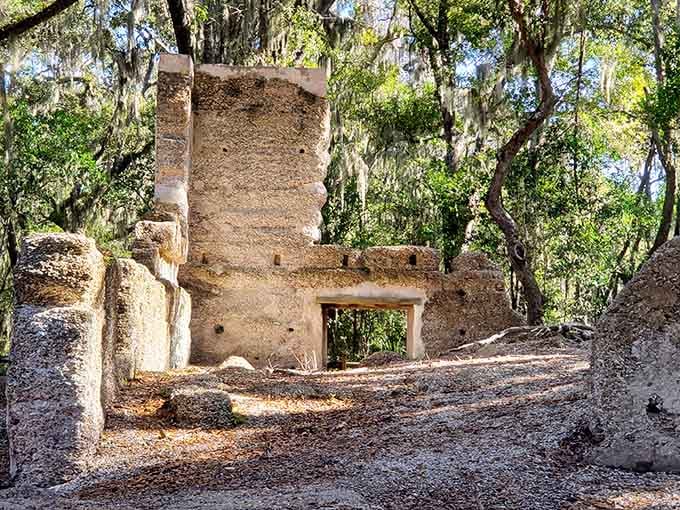 Nature reclaims these tabby walls slowly, wrapping history in vines like a gentle, persistent embrace from the earth.