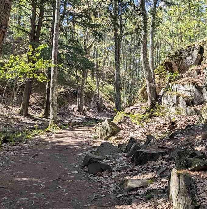 This ravine trail dips between hillsides like a secret passage, where rocks and roots create character worth every careful step.