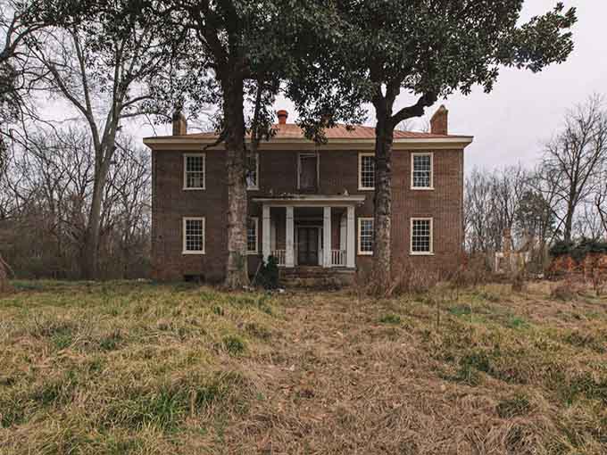 Once-grand columns frame a mansion slowly surrendering to time, its windows dark with untold secrets within.