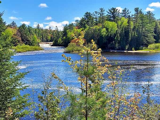 The Tahquamenon River takes a dramatic plunge, creating a root beer-colored cascade that roars with timeless power.
