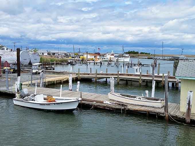 Working boats bob gently in their slips while the island's timeless rhythm floats on salty air.