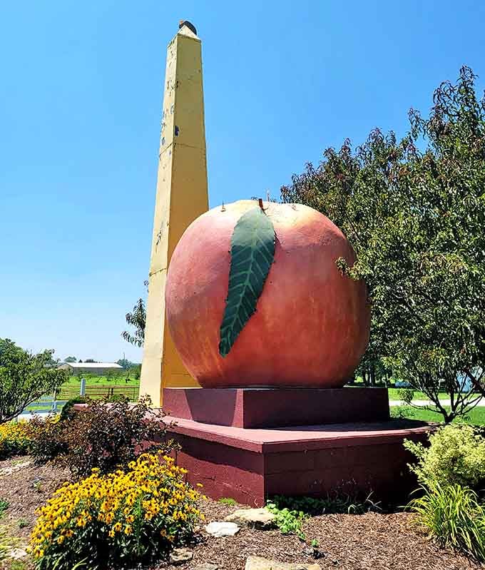 This giant peach monument towers beside its water tower companion, celebrating small-town agricultural pride with delightful whimsy.