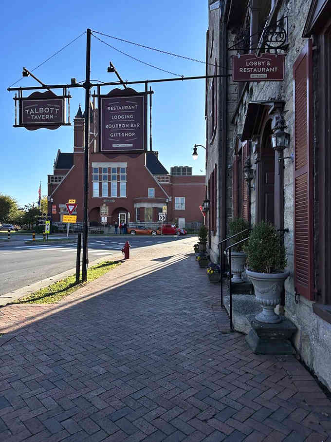 Those charming hanging signs promise good food and bourbon, swaying gently above cobblestones like something from colonial Williamsburg.