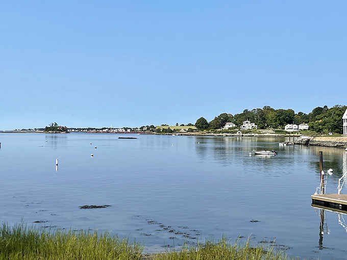 Calm harbor waters mirror the sky while boats rest peacefully near the tree-lined shore.