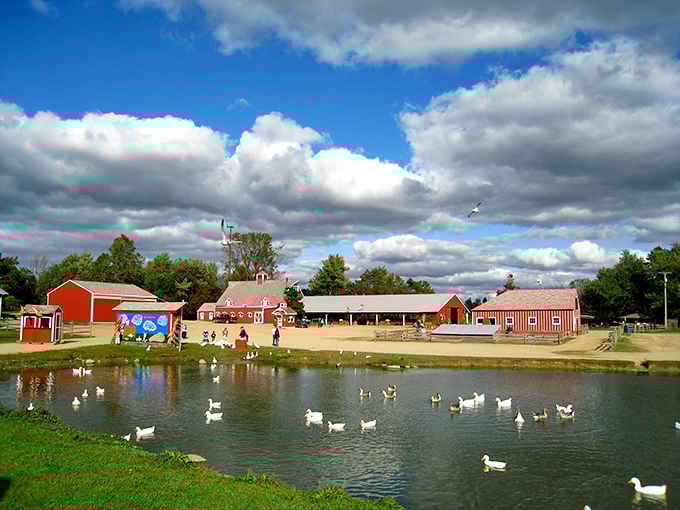 Red barns reflect perfectly in the still pond while ducks paddle contentedly&mdash;this is the farm scene from every childhood storybook.