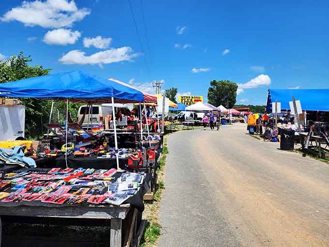 These polished concrete floors have witnessed countless "I can't believe I found this!" moments echoing through the halls.