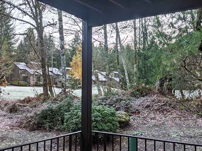 Forest views from your porch come standard, along with deer who think your yard is their private dining room.