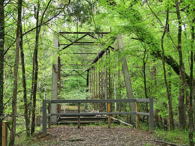 Nature's reclaiming what's hers here, wrapping this old iron crossing in green mystery and whispered legends galore.